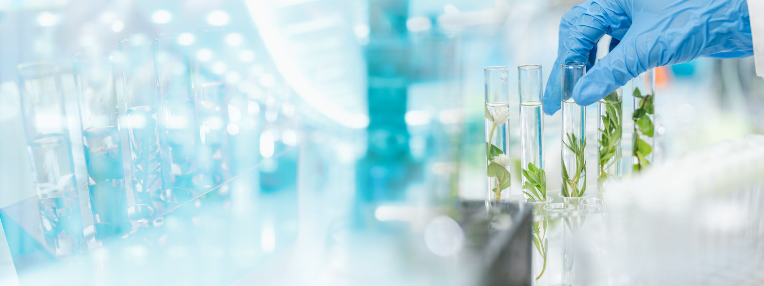 品質経営と環境経営への取り組み - TOGA